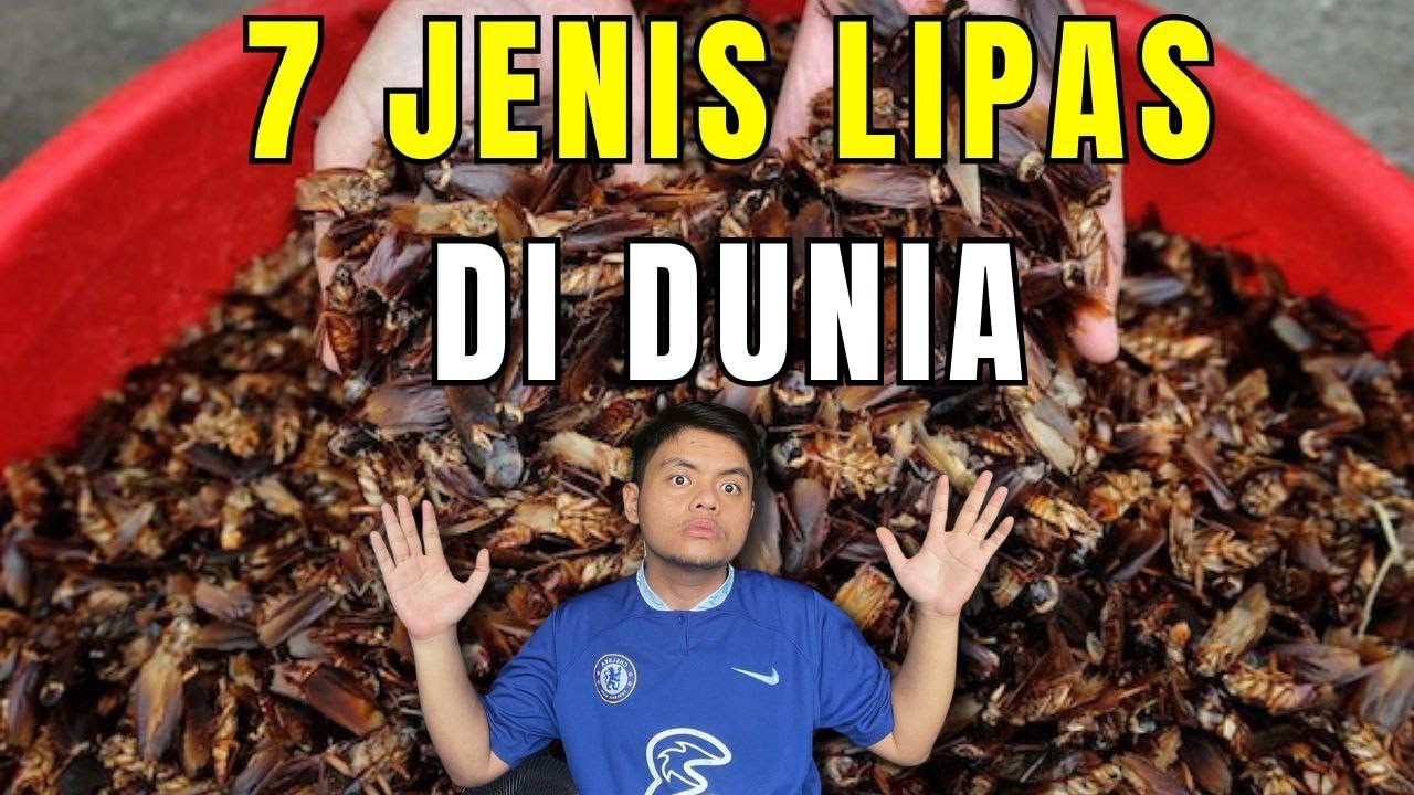 7 JENIS LIPAS DI DUNIA - YouTube