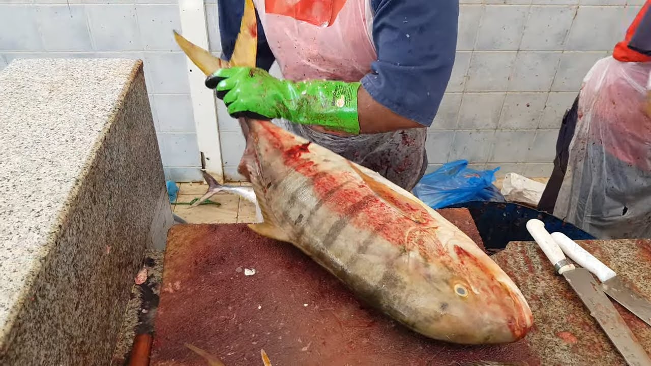 Giant Yellow Trevally Fish Fillet Live Slice Techniques। Trevally Fish ...