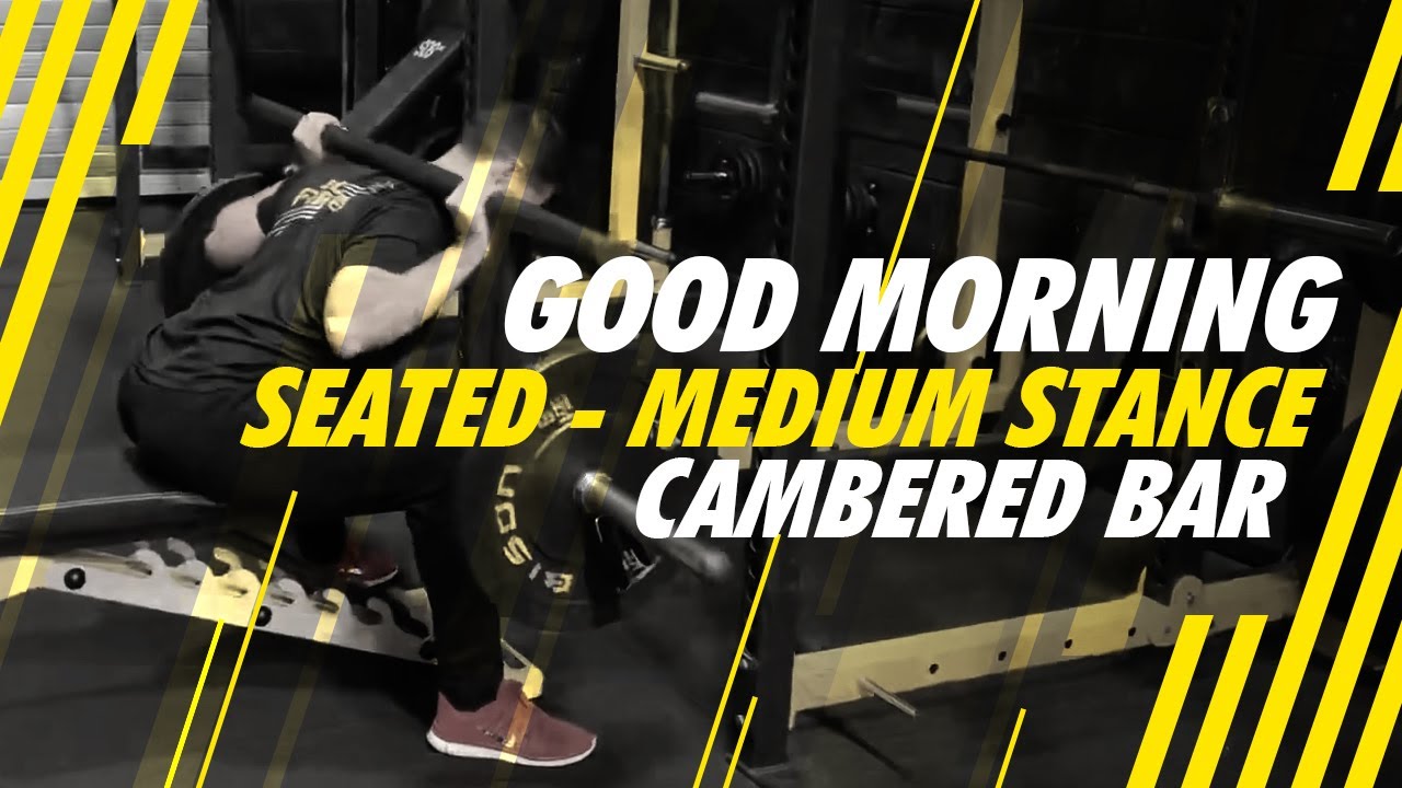 Good Morning - Seated - Medium Stance - Cambered Bar - YouTube