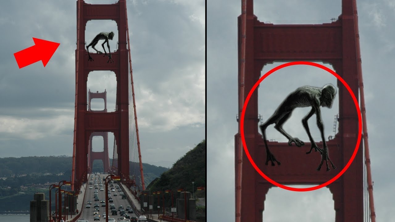 5 Giant Creatures Caught on Tape - YouTube