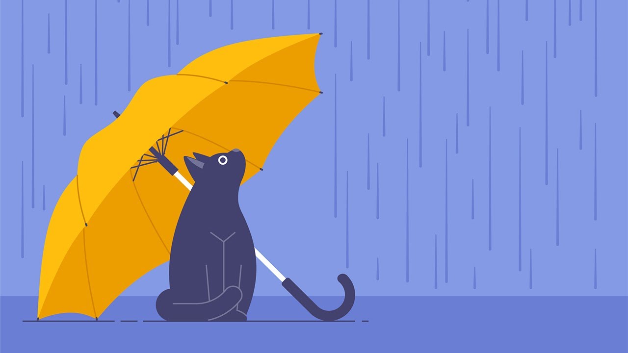 The Melody of the Raindrops: A Calming Sound Effect Under an Umbrella ...