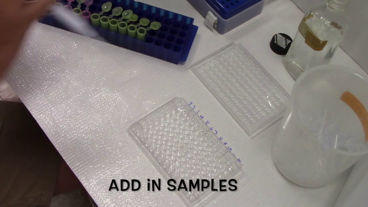 Spot Test HD 720p - YouTube