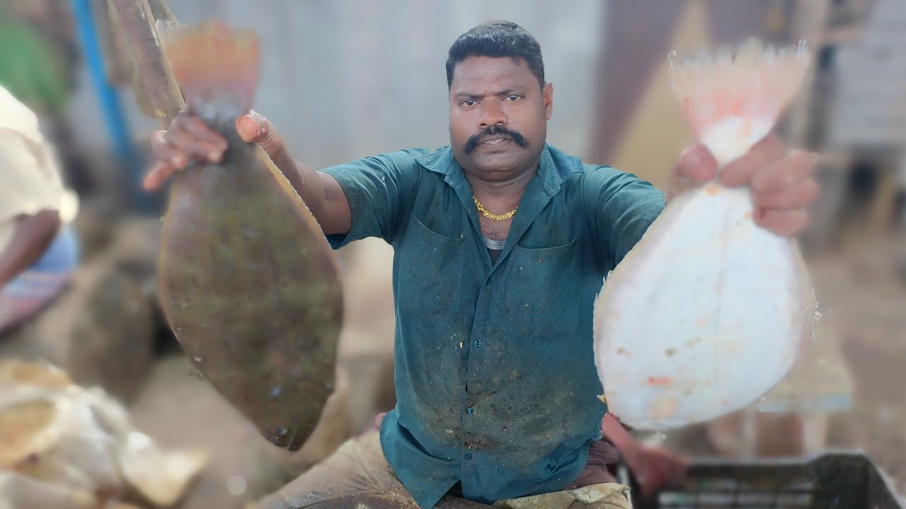 August 21, 2022kasimeadu selvam nakku fish cutting - YouTube
