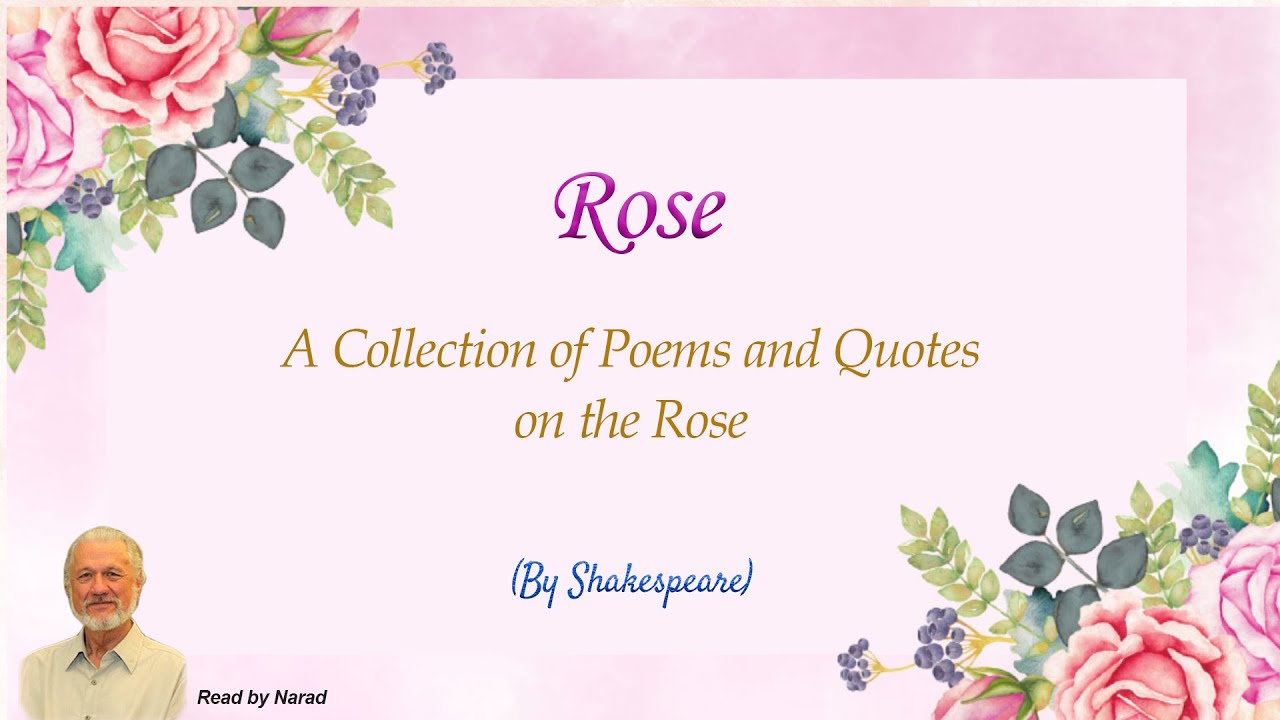 A Collection of Poems and Quotes on the Rose - By Shakespeare (Read by ...