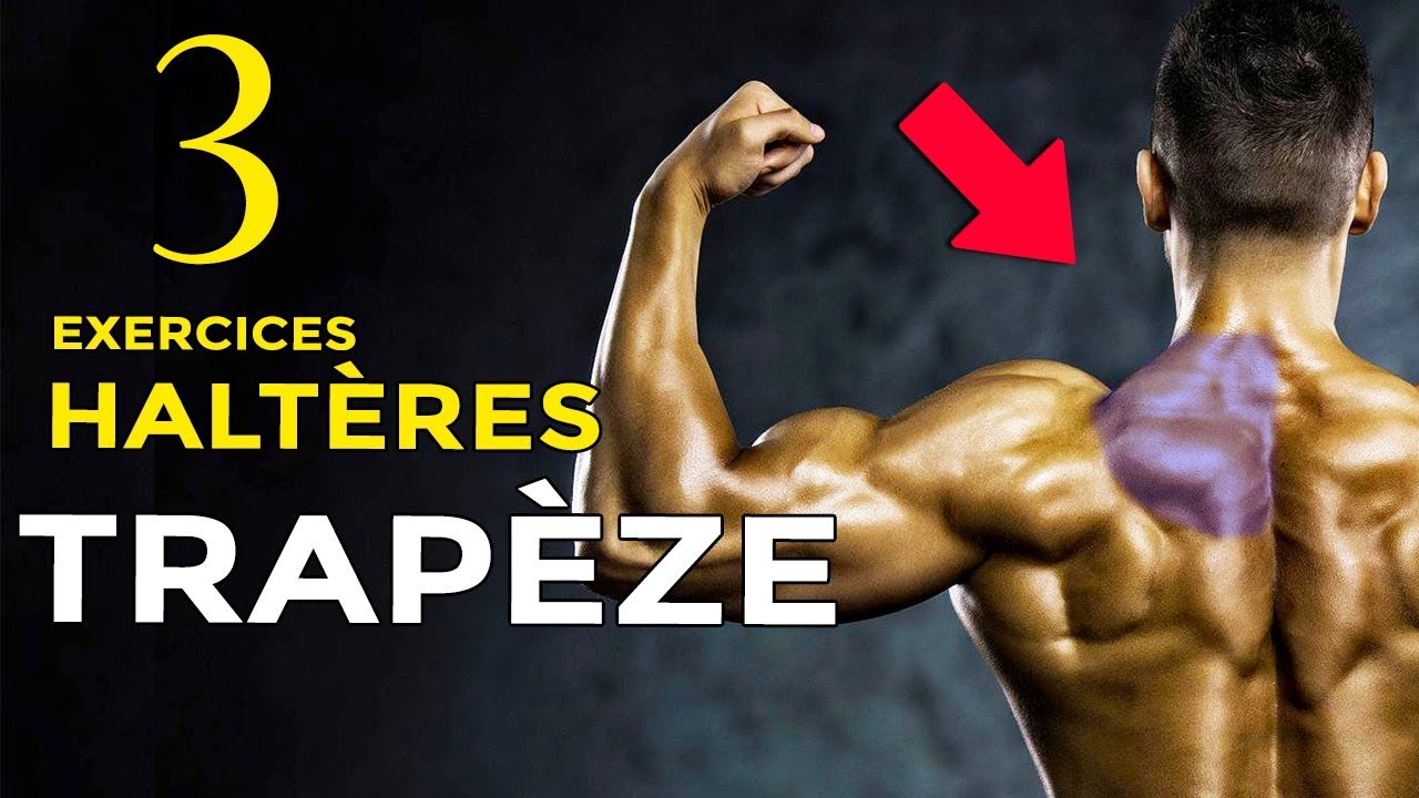 3 EXERCICES HALTÈRES POUR SE MUSCLER LES TRAPÈZES EN MUSCULATION - YouTube