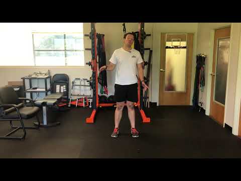 Motor Control and Strength Treatments to Improve Low Back Pain - YouTube