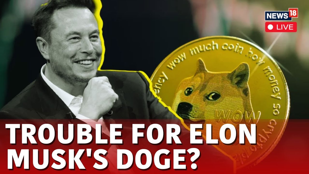 Trouble for Elon Musk's DOGE | Elon Musk Dodge News Live | Musk Dodge ...