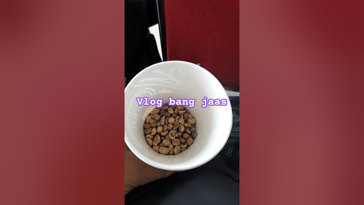 vlog bang jaas, pelatihan barista di bangka barat #adayinmylife #vlogbangjaas #barista #kopi # ...