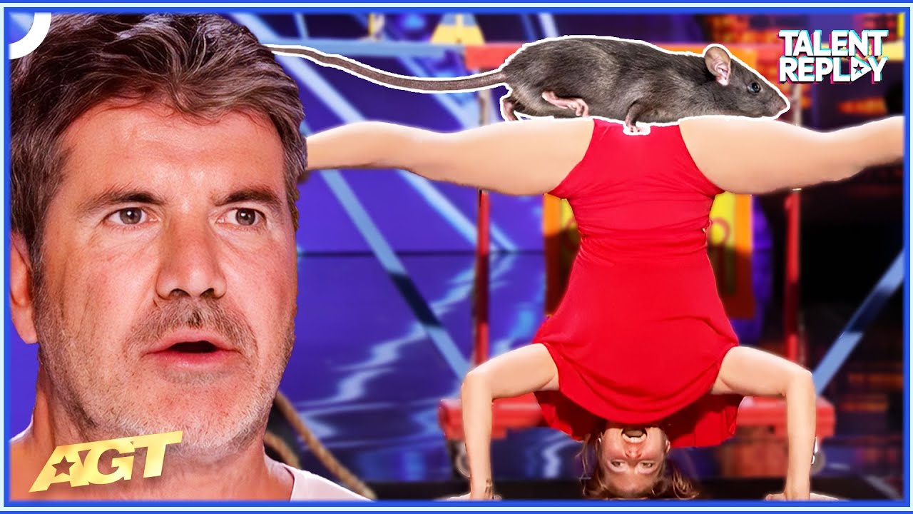 Talented Rat Performs Quite Impressive Tricks! | America's Got Talent ...