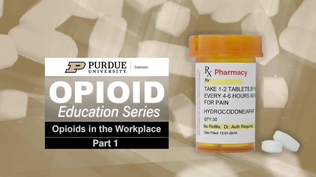 Opioid Education Series: Opioids in the Workplace Part 1 - YouTube