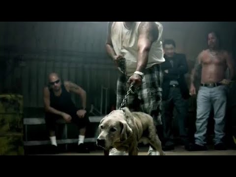 The ABCs of Death (2012) - D is for ??????????? Dogfight - YouTube