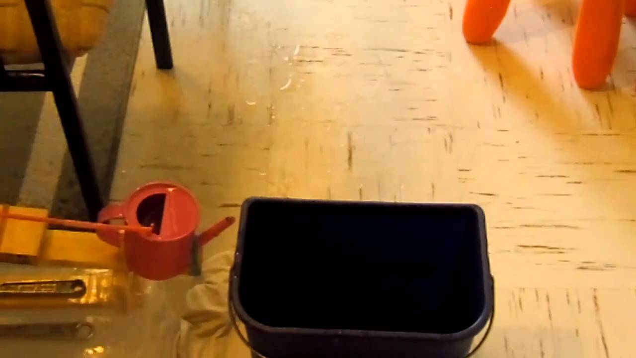 Watering A Plant Contraption - YouTube