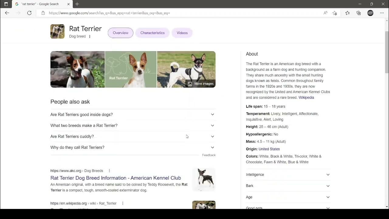 Cs50 Project0 Web Programming Youtube