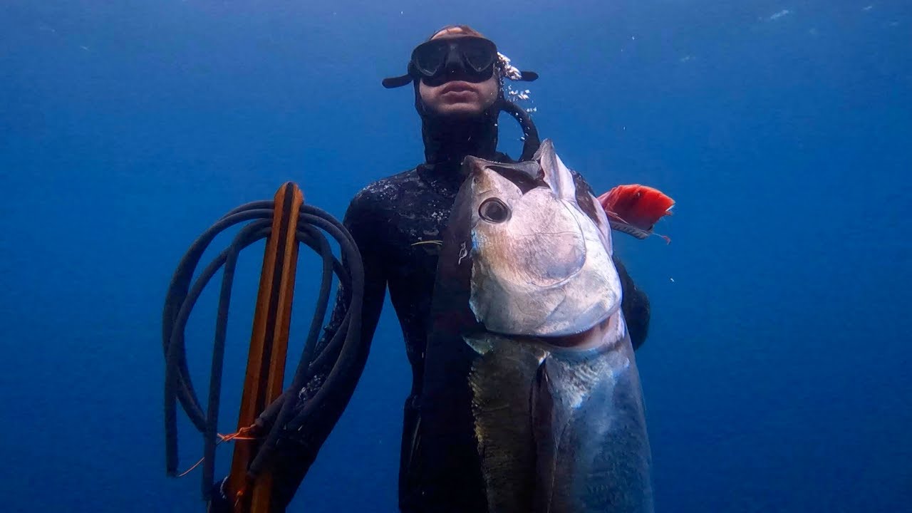 SPEARFISHING California from Mendocino to San Diego! [State RECORD ...