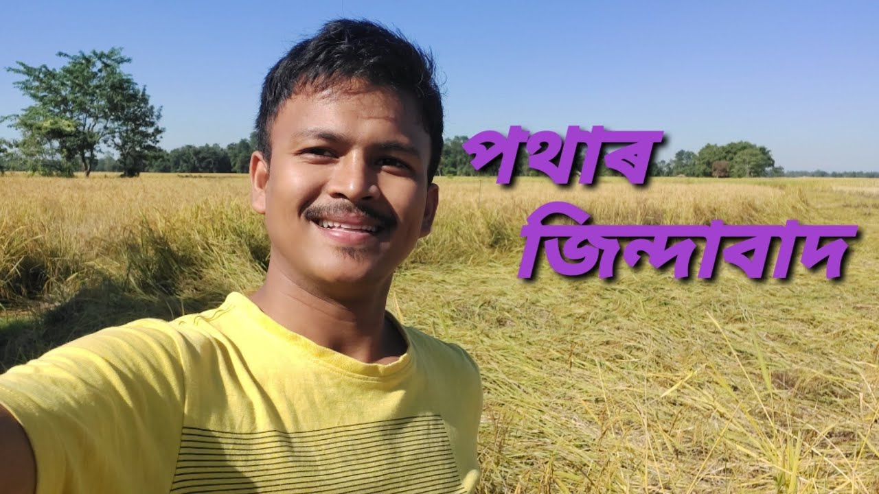 Rice cultivation in Assam ## Uniqueness of Assam ## North East India ...