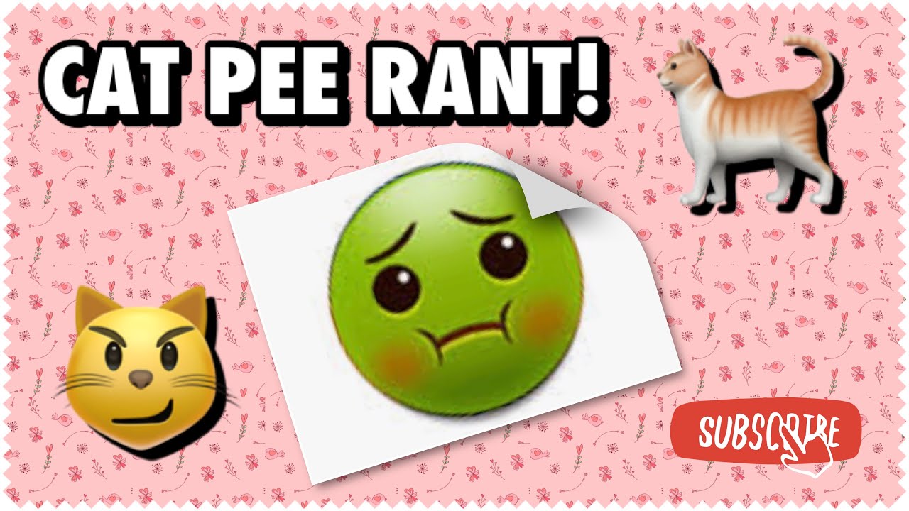 CAT PEE RANT! | painting my sons bedroom | gravel has got to go! - YouTube