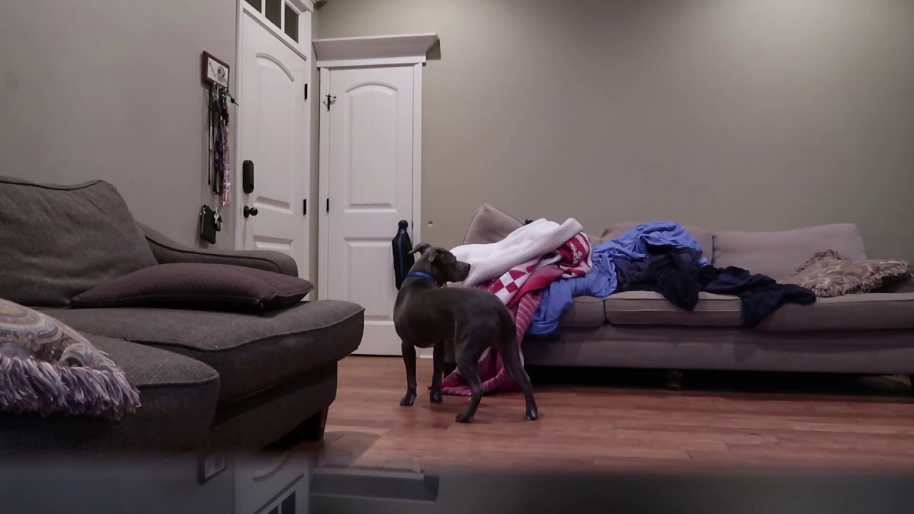 Home Invasion Prank on Roommate!!! (GONE WRONG) - YouTube