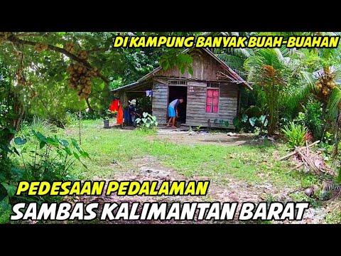 pedesaan pedalaman bikin tenang dan damai Kalimantan barat Sambas ...