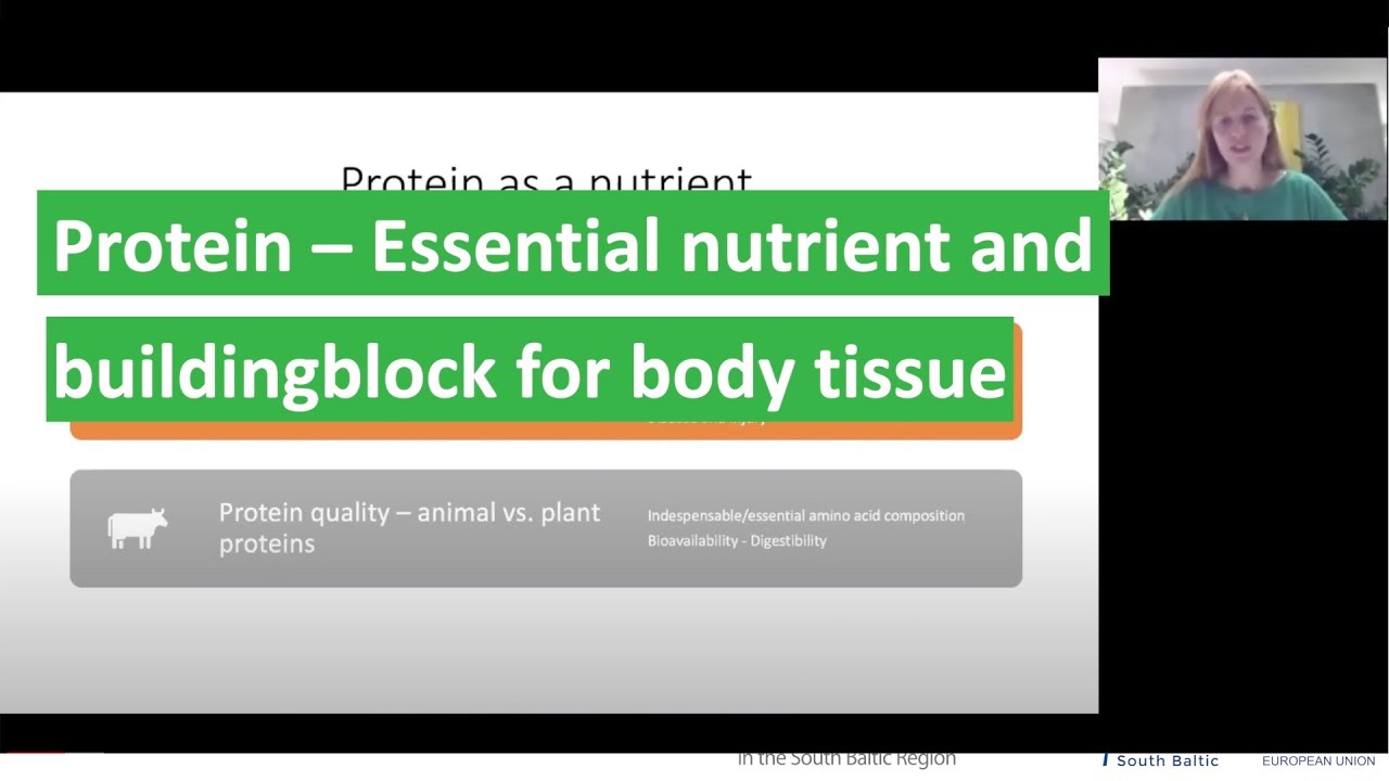 Protein – Essential nutrient and building block for body tissue - Tina ...