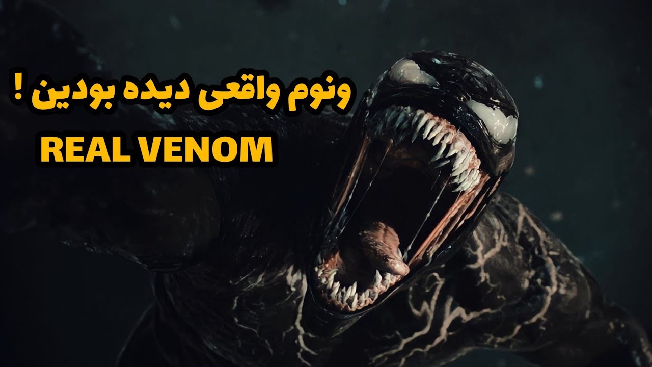 ونوم واقعی | real venom - YouTube