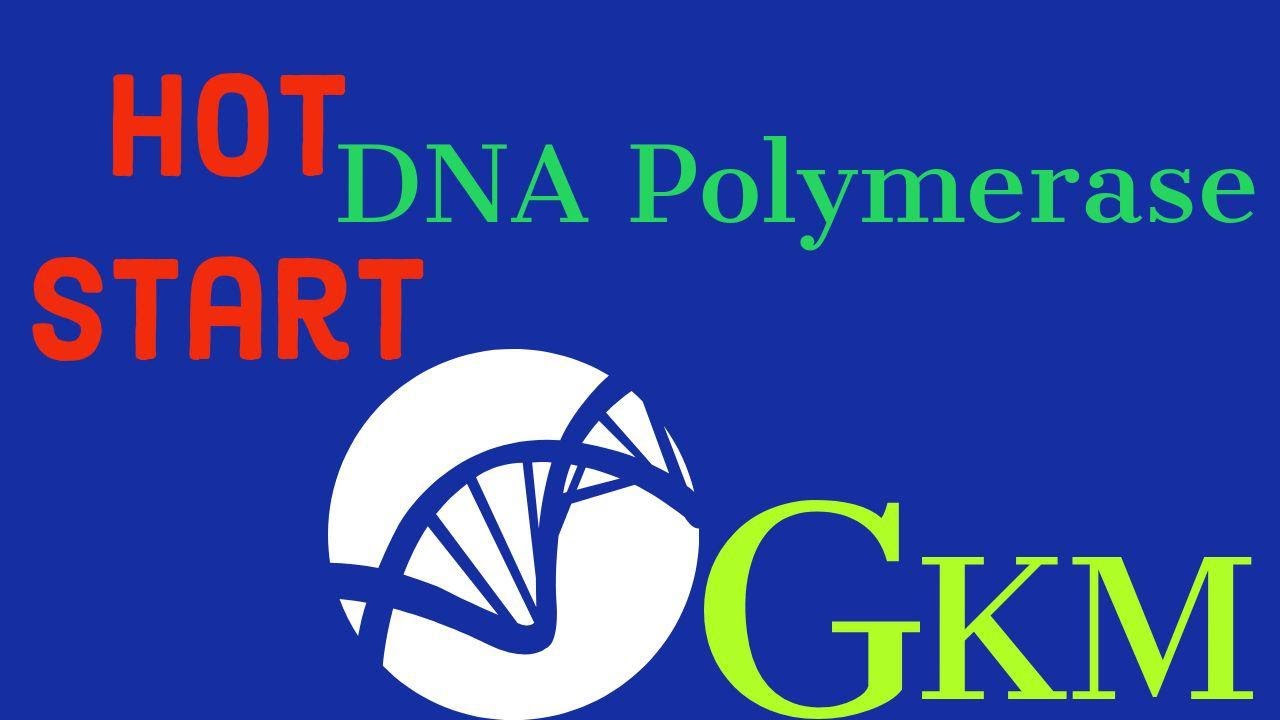 GoTaq® Hot Start Taq Polymerase - YouTube
