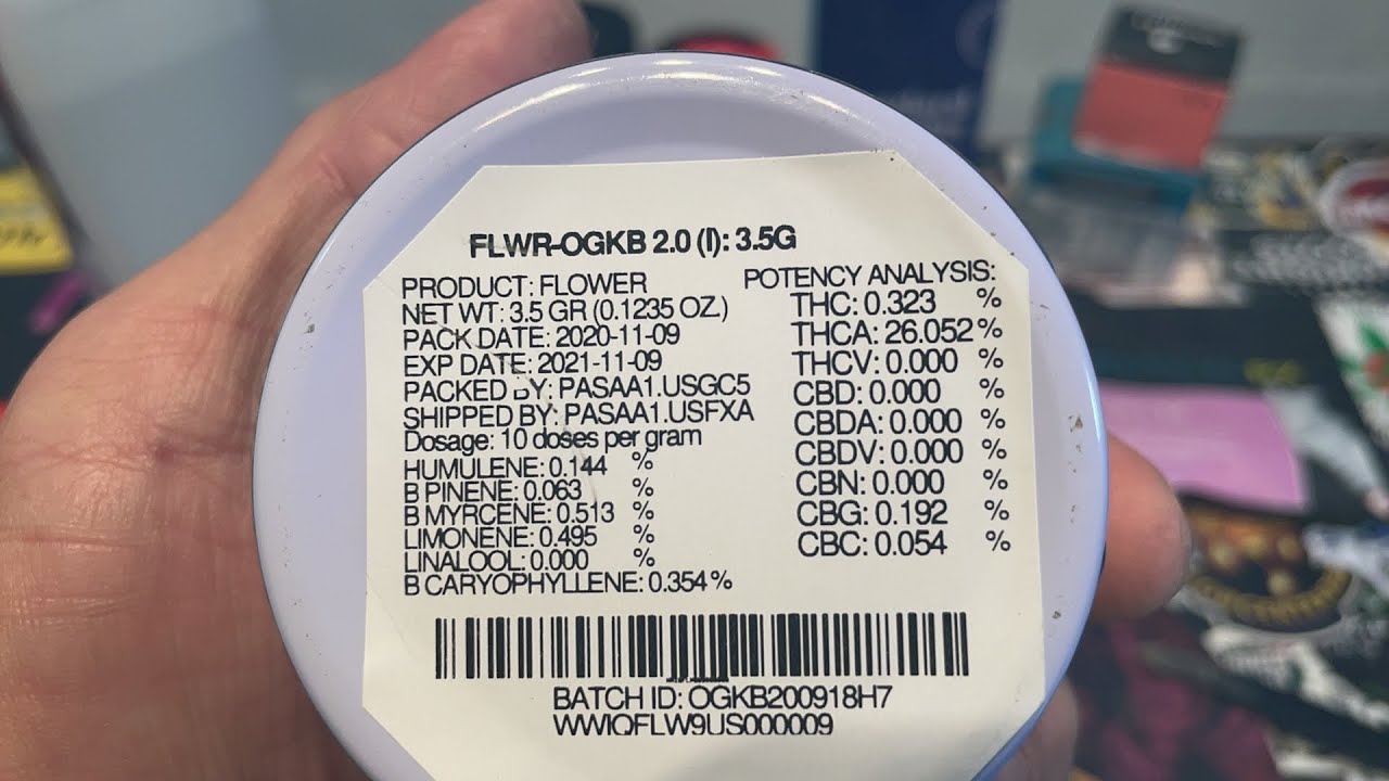 Pa medical INSA flower Ogkb - YouTube