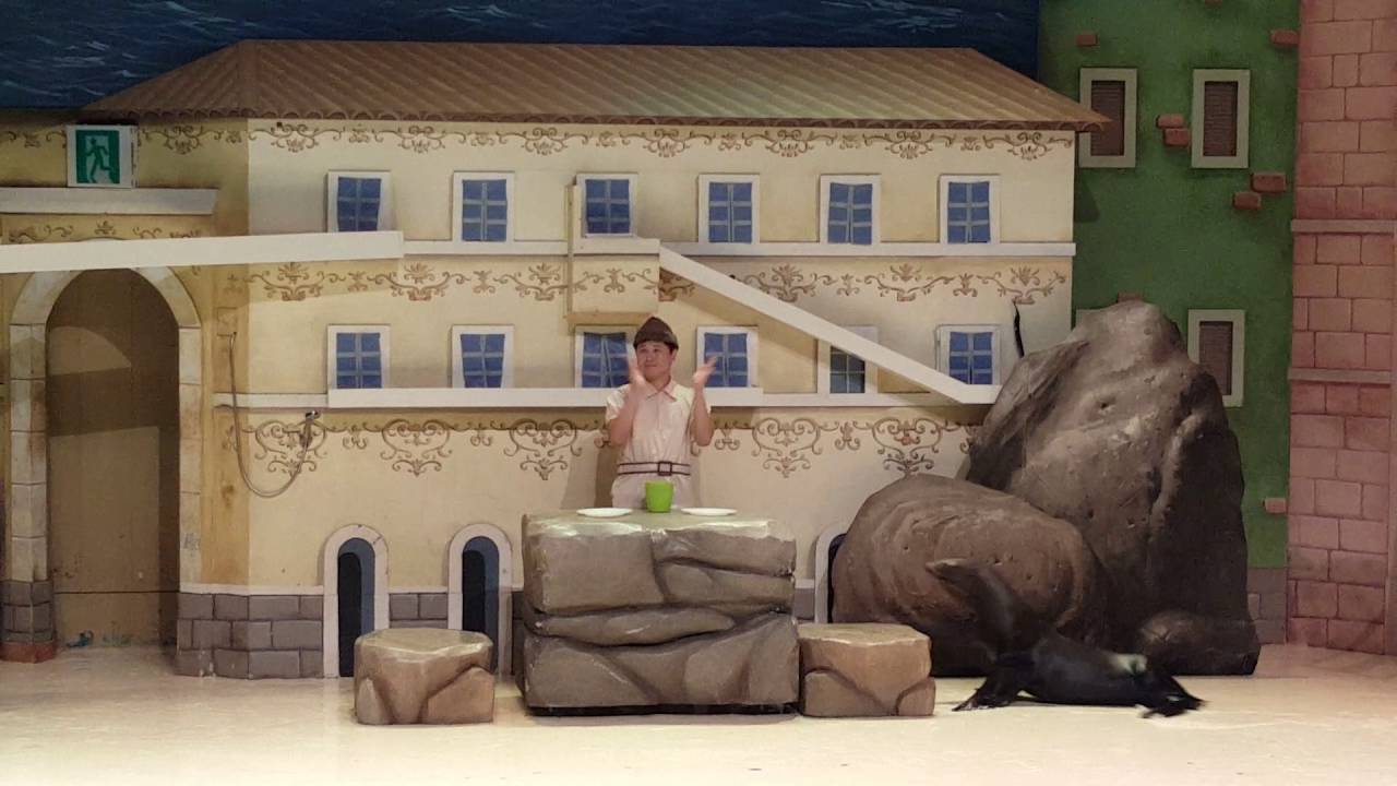 Sea animal show at Everland, SouthKorea - YouTube