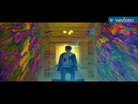 BTS-Blood Sweat and Tears (Japanese MV)