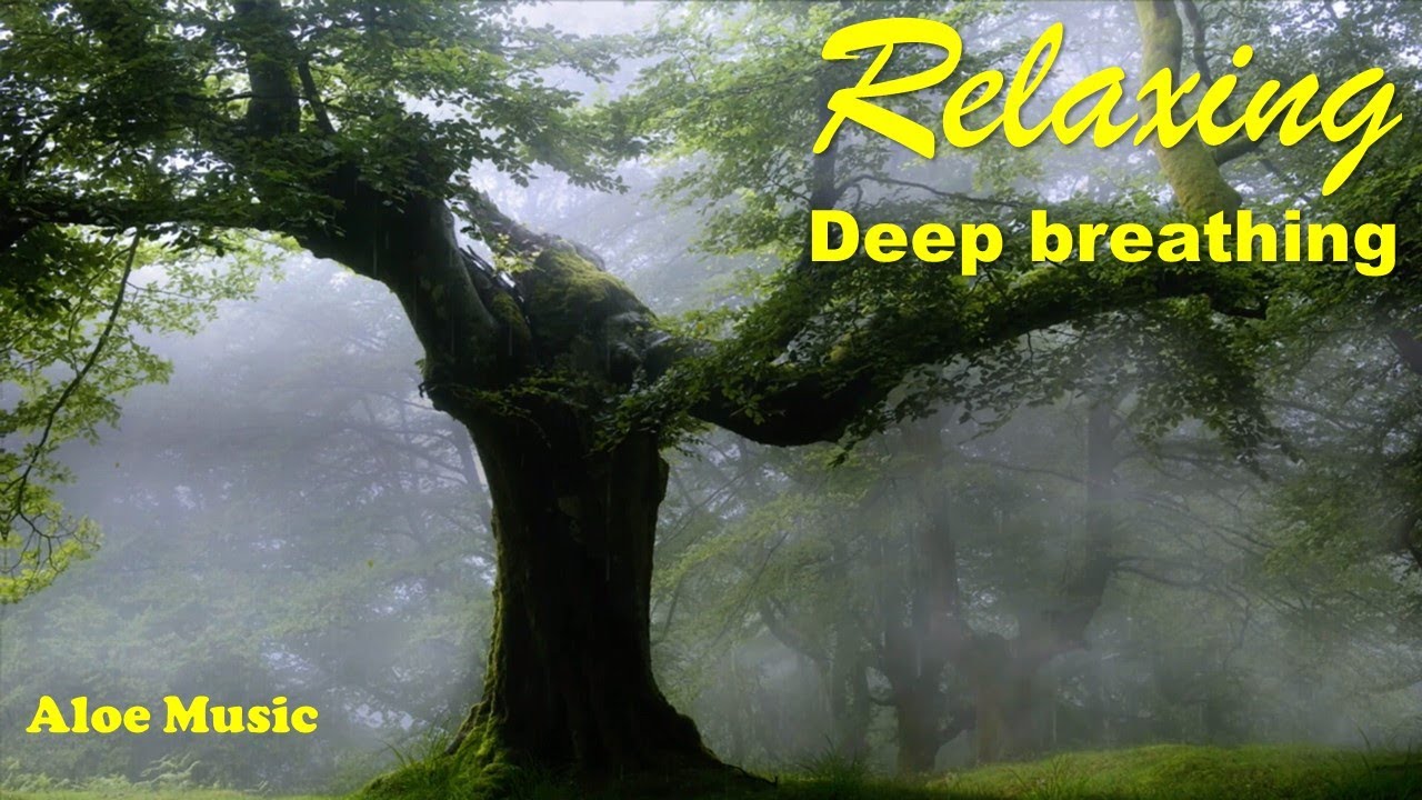 Beautiful Relaxing Music: Deep breathing - YouTube