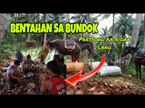 BENTAHAN NANG KABAYO SA BUNDOK | Dinayo pa kami sa coprahan - YouTube