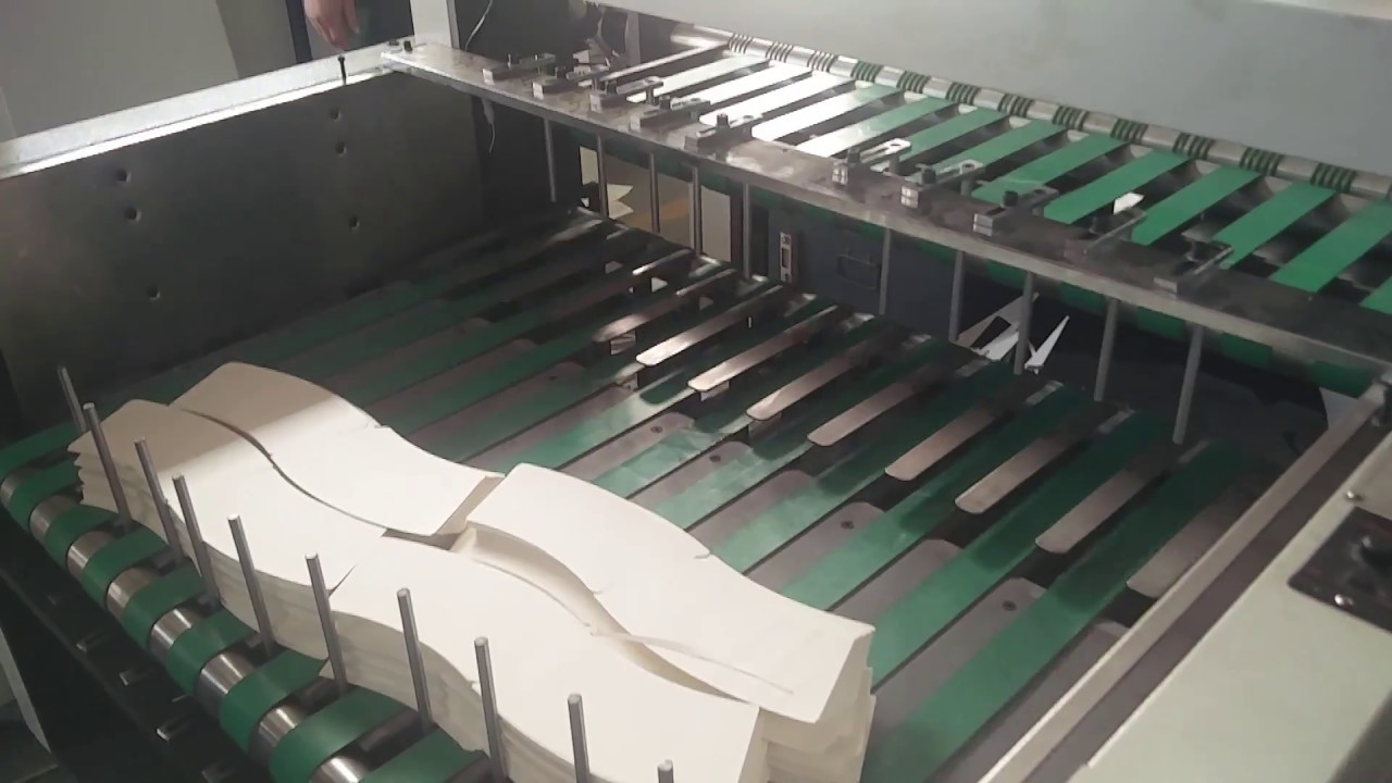 Paper Cup Fan and Paper Plate Roll Die Cutting Stripping Machine Before ...