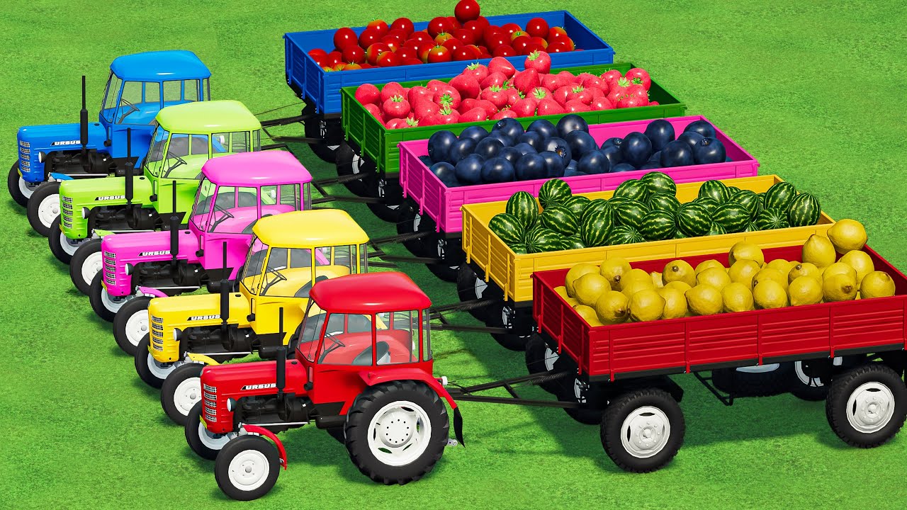 TRANSPORTING URSUS Mini TRACTORS & FRUITs with FLATBED TRAILER & MAN ...