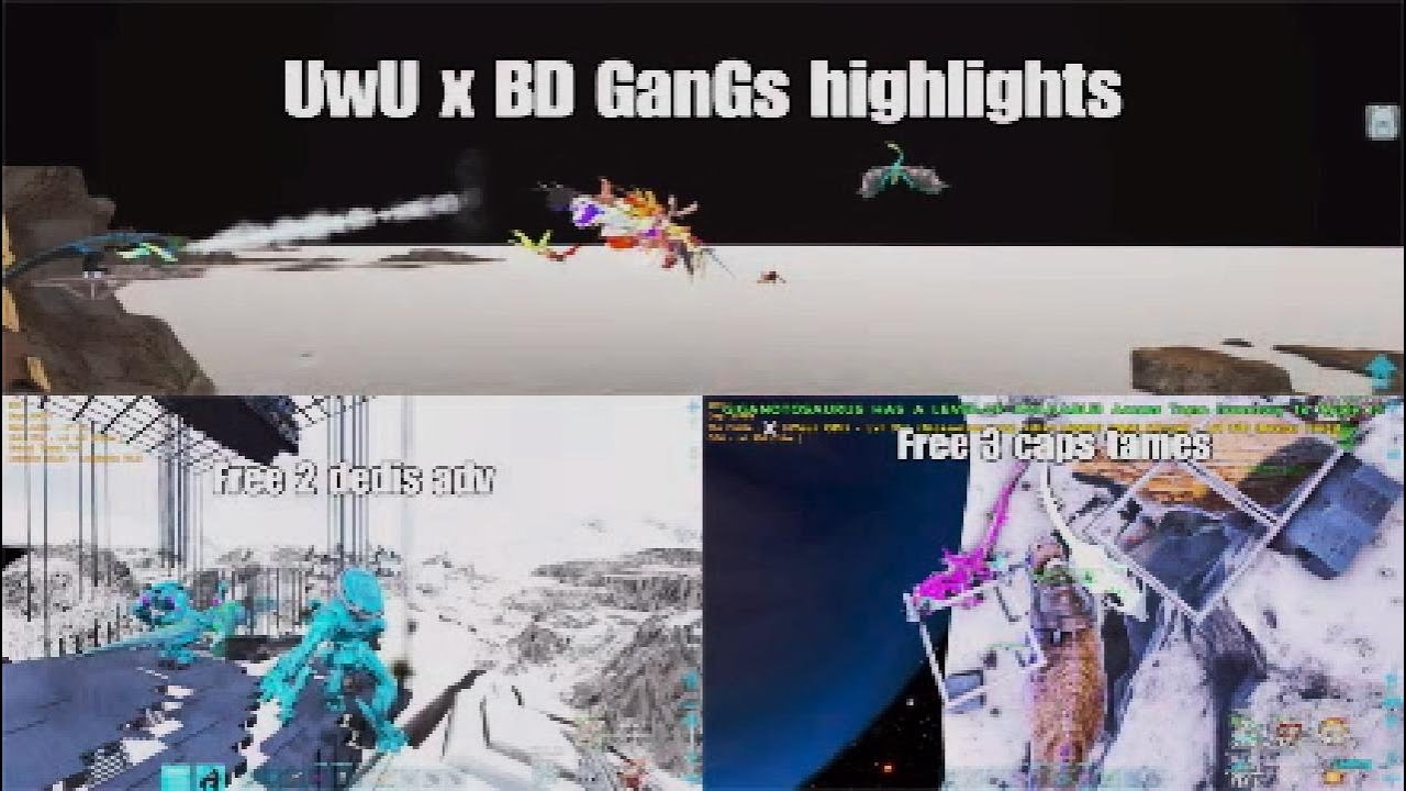 Ark Official PVP Smaltribes Ps5 l UwU x BD GanGs Highlights - YouTube