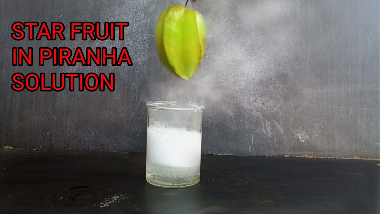 Star fruit in piranha solution || experiment with piranha solution ...