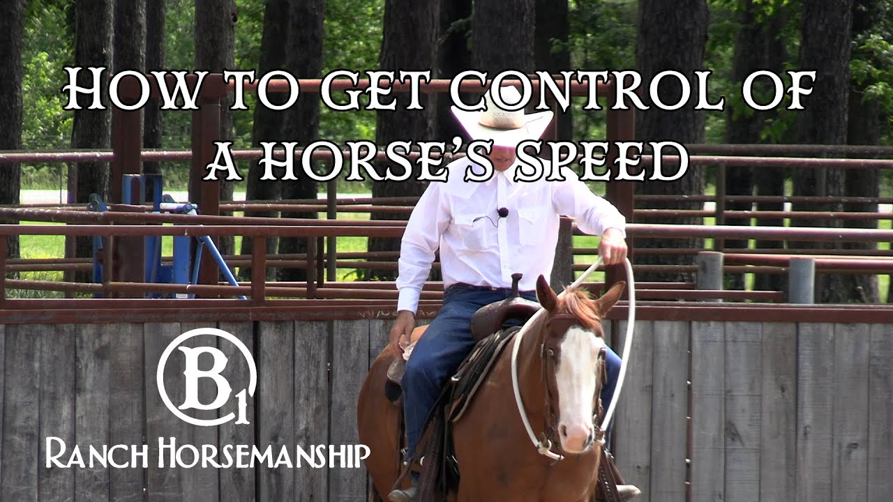 How To Get Control Of a Horse's Speed Preview - YouTube