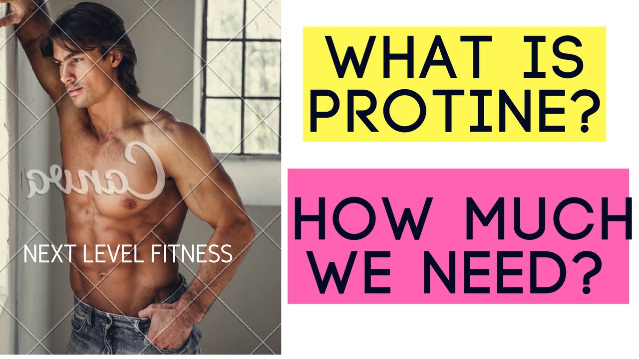 What is Protein | Why we need protein | How much protein we need? - YouTube