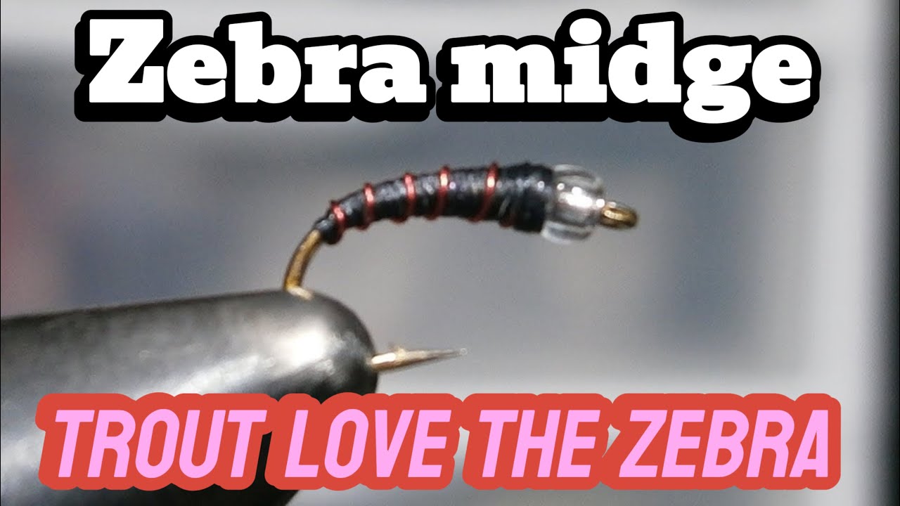 Zebra Midge – Beginner Fly That Slays - YouTube