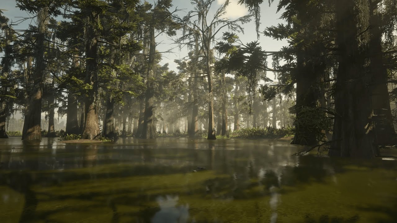 Ambient Red Dead Redemption 2 - Lagras 2 - YouTube