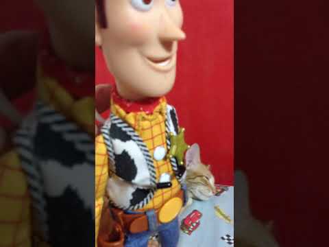 Toy Story Pull String Talking Woody - YouTube