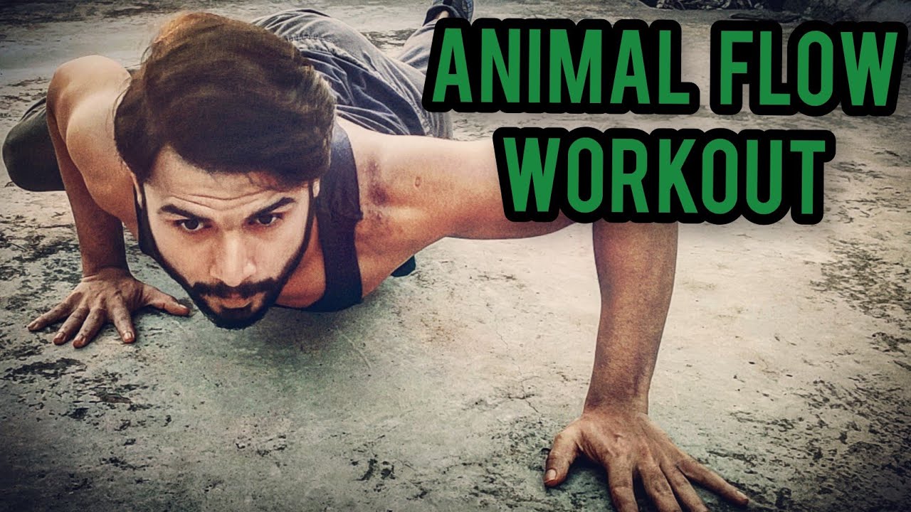 10 BEST ANIMAL EXERCISES FOR STRENGTH | NAYAK FITNESS - YouTube