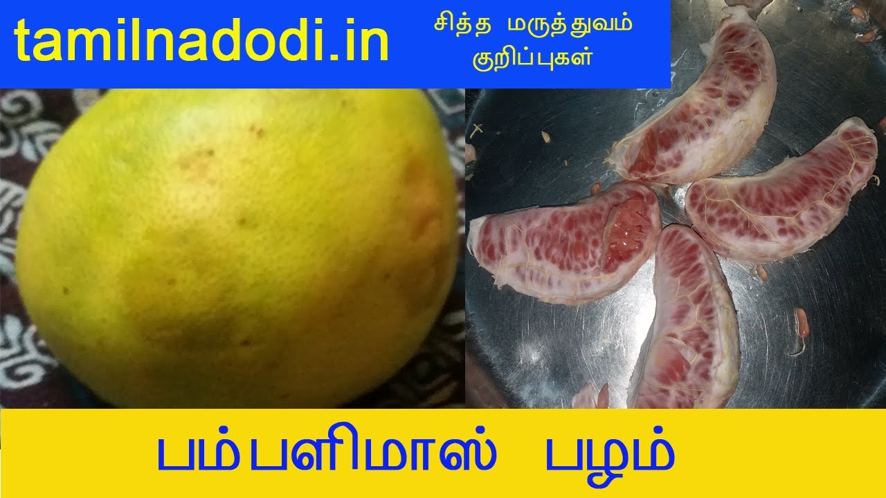 pomelo fruit | Grape fruit | grapefruit benefits| bumblimas - YouTube