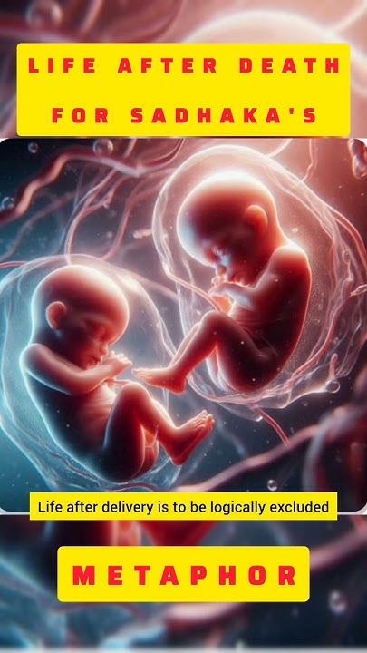 Is There Life After Death? - YouTube