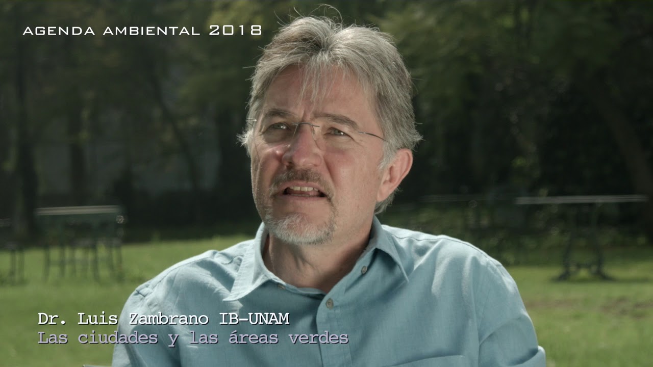 Luis Zambrano - Las ciudades y las areas verdes - YouTube