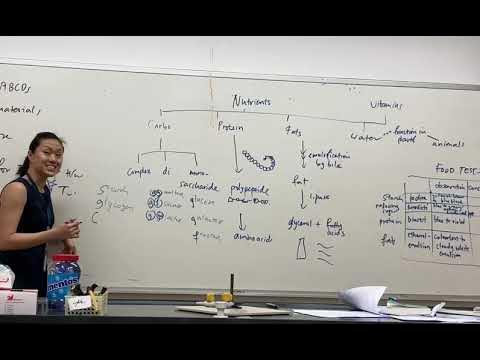 Chap 3 Biological Molecules - YouTube