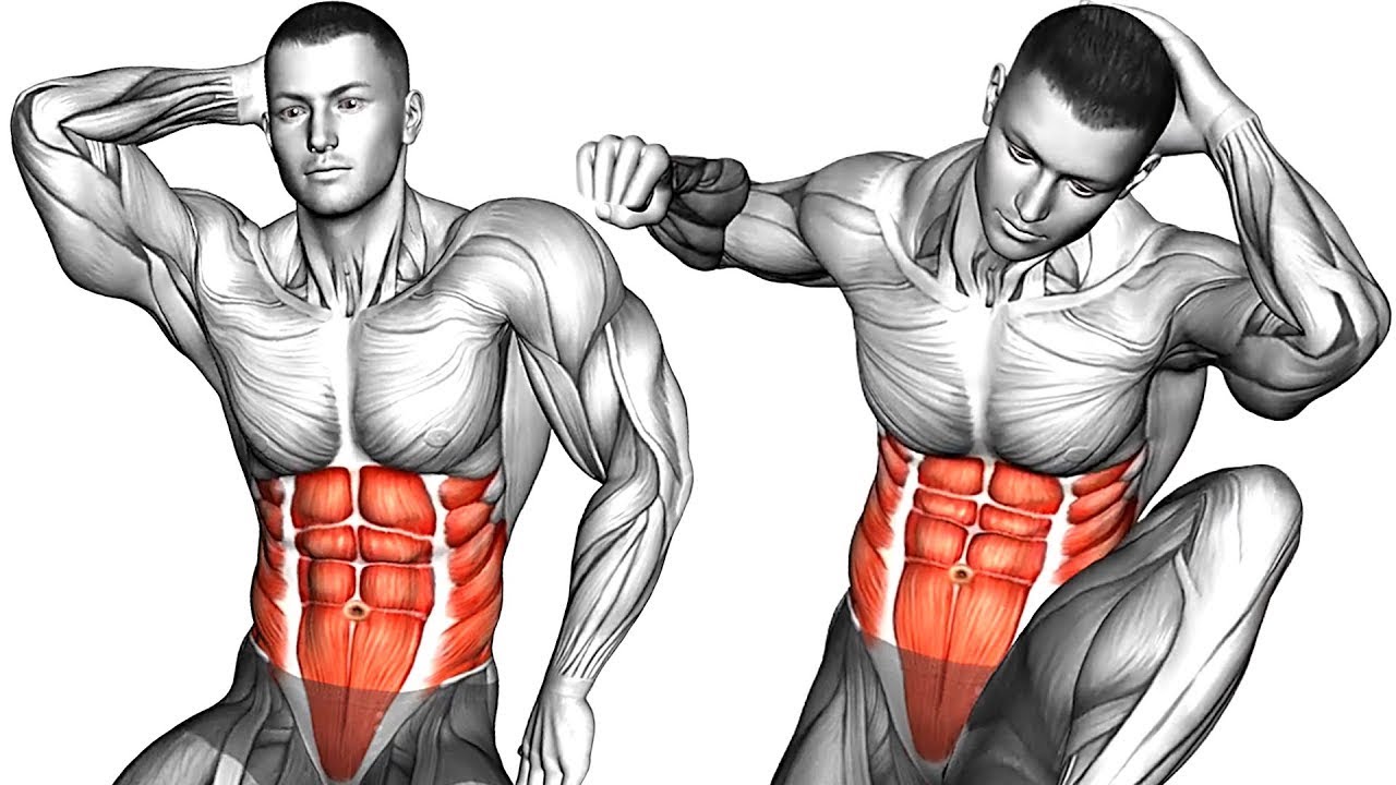 6 best Exercises That Help You Get V-Cut ABS | at home - YouTube