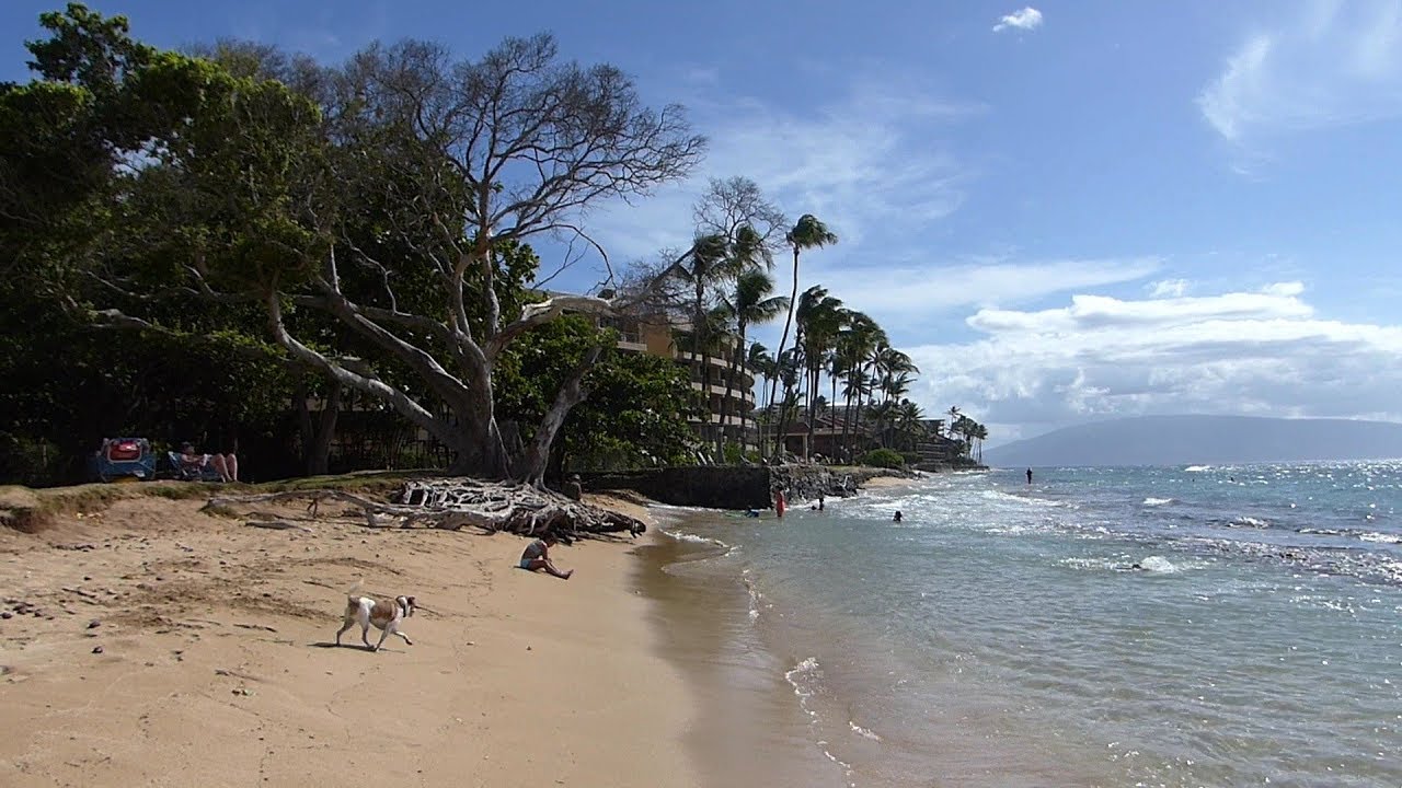 HONOKOWAI BEACH PARK - HONOKOWAI - WEST MAUI - HAWAII - YouTube