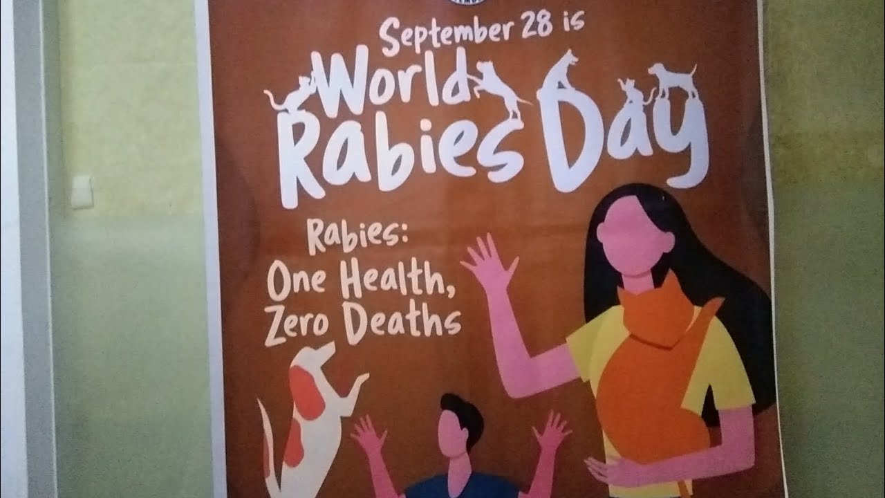 Kalmot ng Pusa pa Vaccine agad /Anti-Rabbies #cats #trending #viral # ...