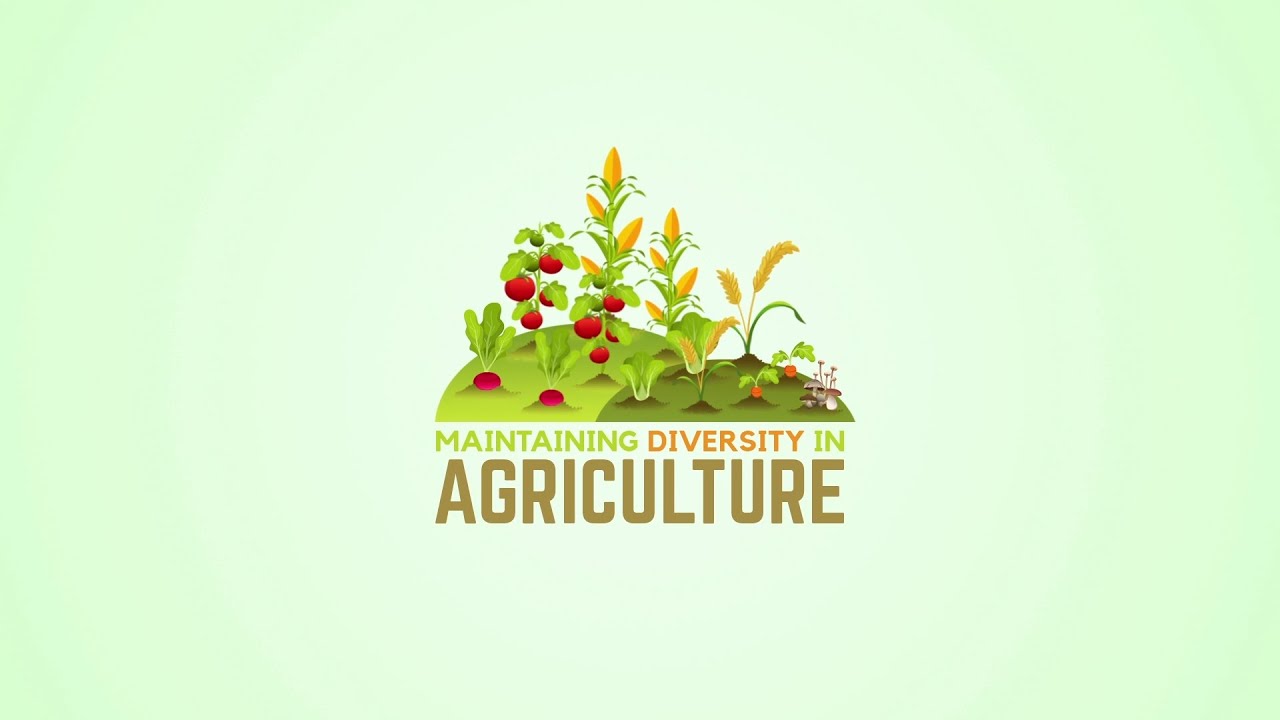 Agrobiodiversity (Part 2) - Importance of Maintaining Biodiversity ...