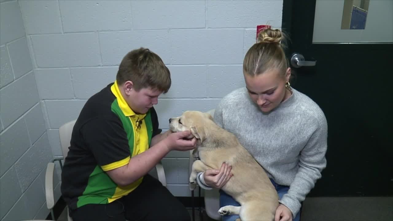 forever home carter short two - YouTube