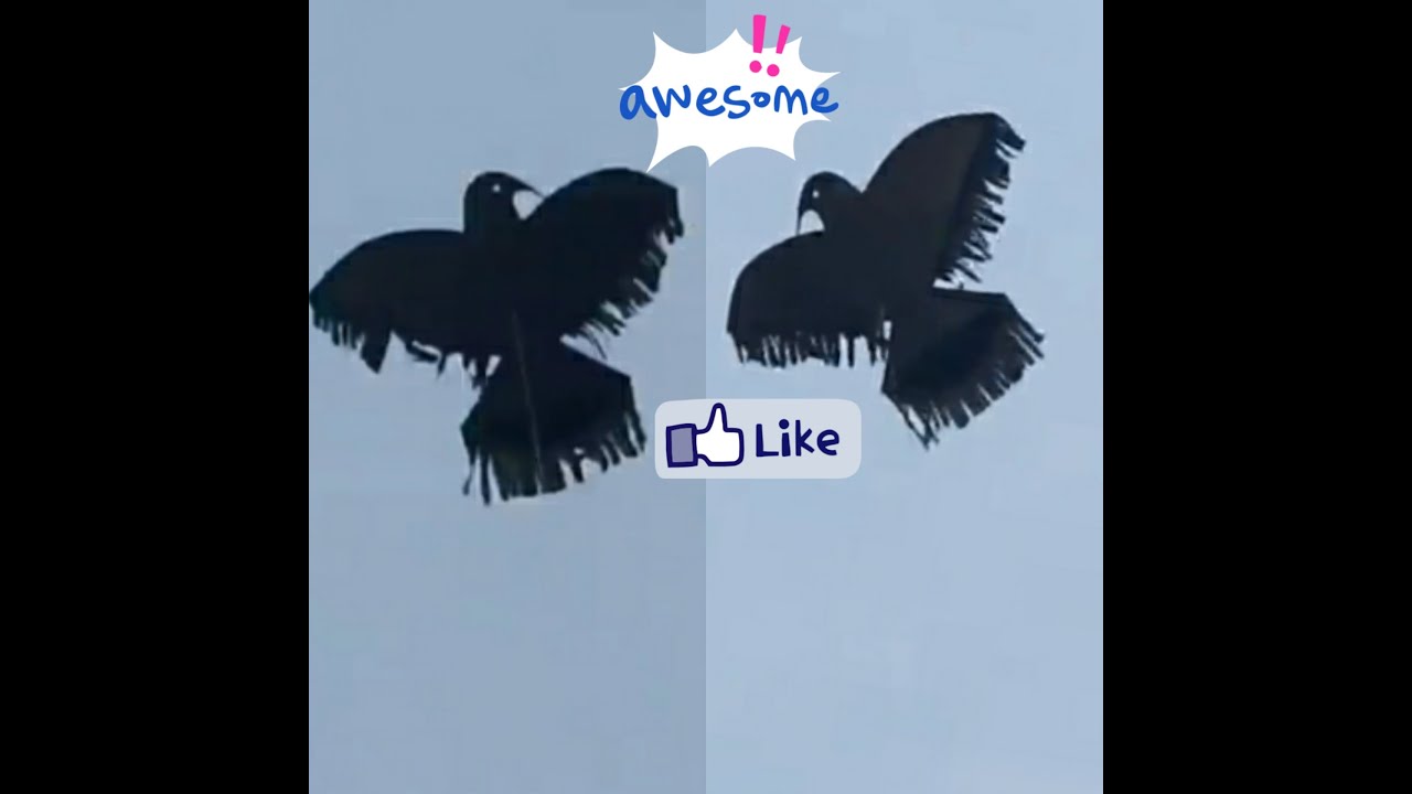 EAGLE KITE | AGILA SARANGGOLA | HOW TO MAKE EAGLE KITE STYLE | PAANO ...